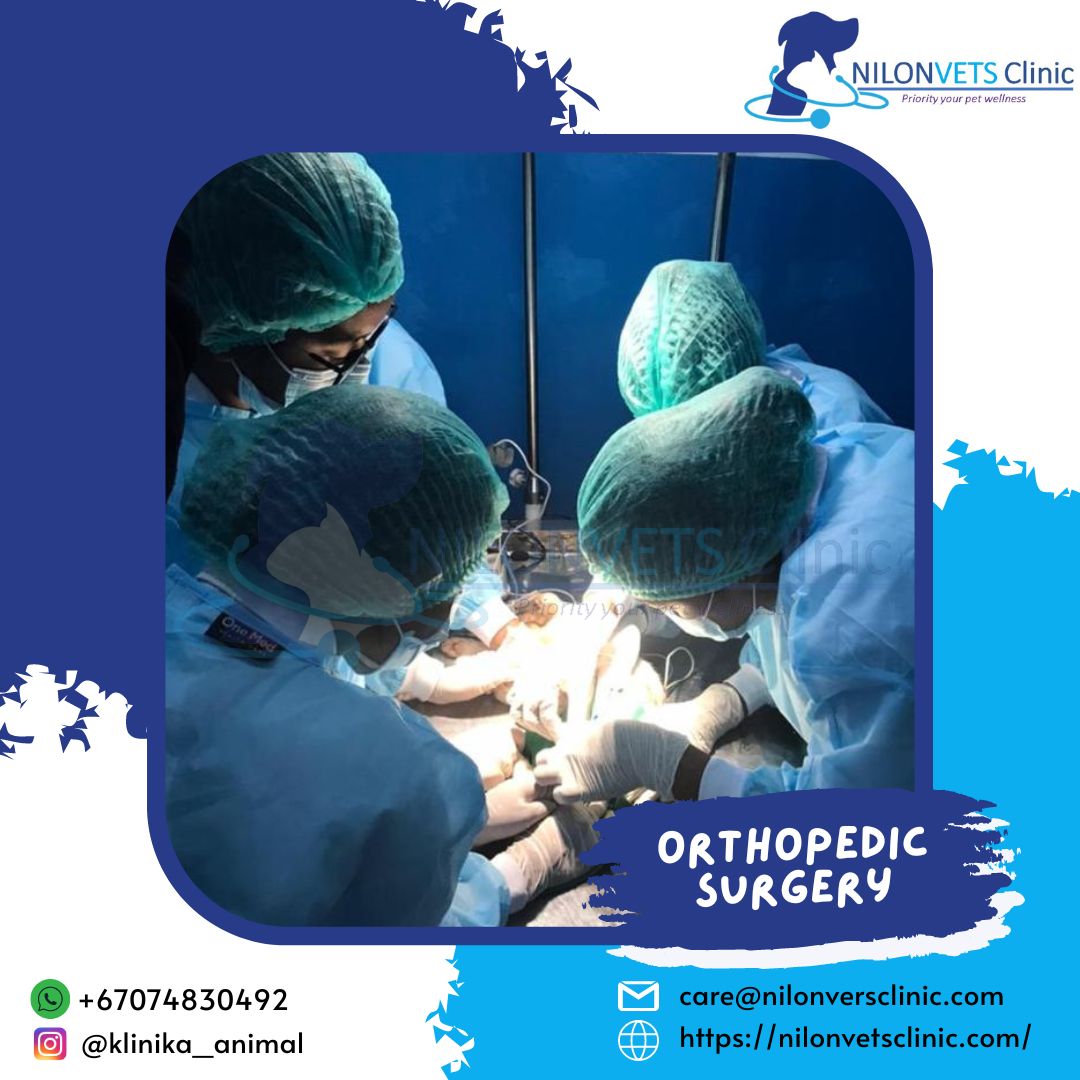 ORTHOPEDIC SURGERY - Klinika Veterinaria